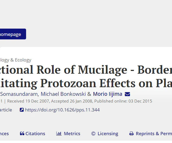 Functional Role of Mucilage - Border Cells: A Complex Facilitating Pro ...