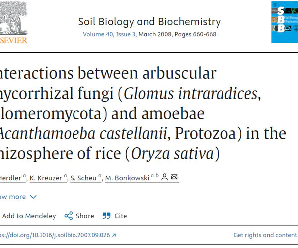 Interactions between arbuscular mycorrhizal fungi (Glomus intraradices ...