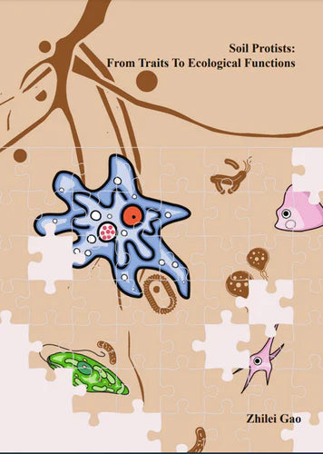 Soil Protists: From traits to ecological functions – ECOstyle NL ...