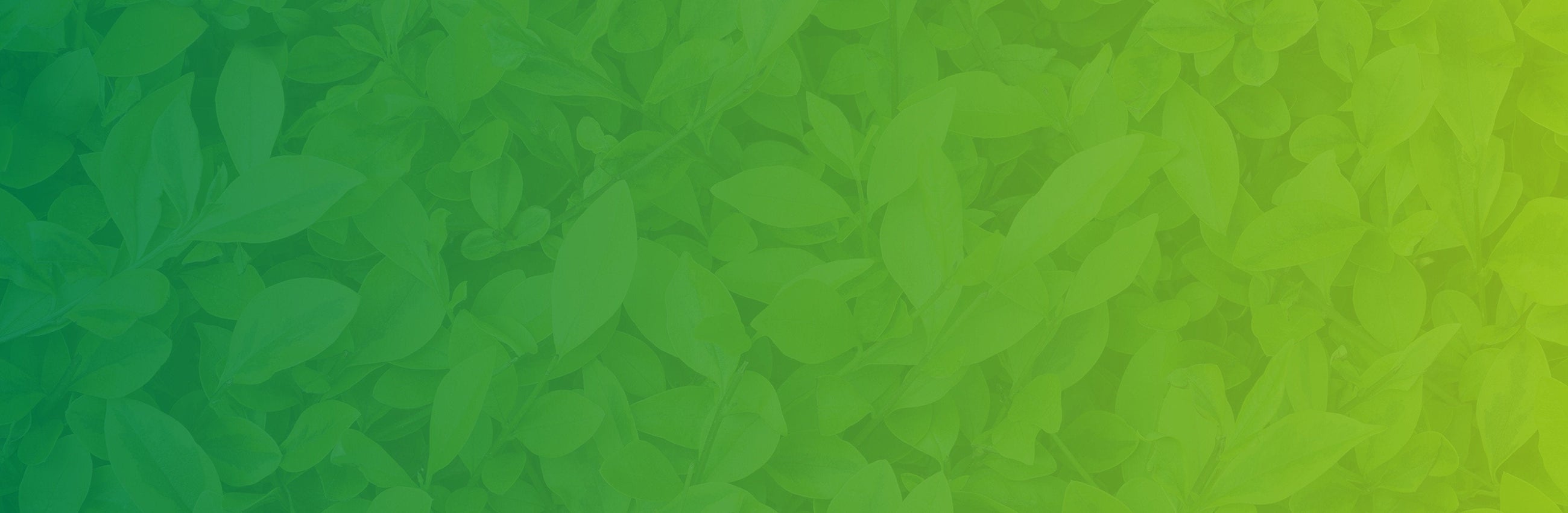 ECOstyle NL Professional